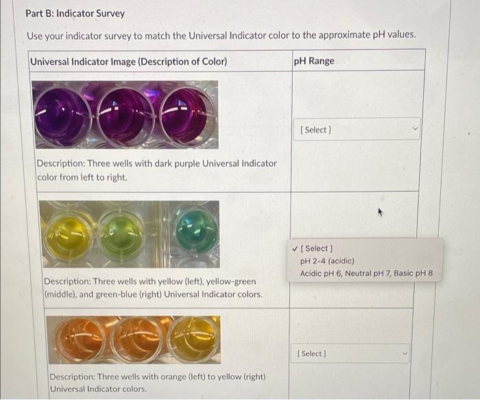 Solved Part B: Indicator Survey Use your indicator survey to | Chegg.com