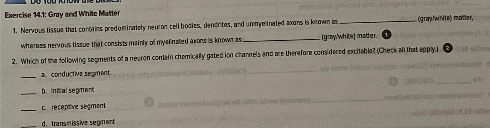 Solved Exercise 14.1: Gray and White MatterNervous tissue | Chegg.com