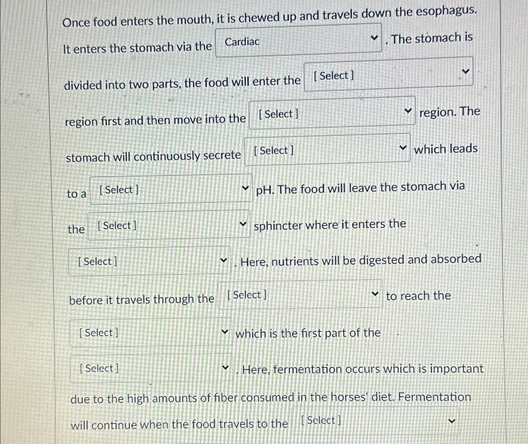 Solved Once Food Enters The Mouth It Is Chewed Up And