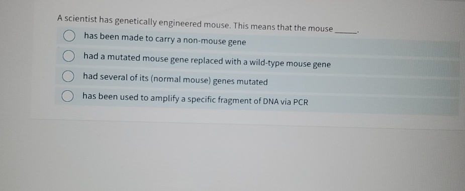 Solved A scientist has genetically engineered mouse. This | Chegg.com