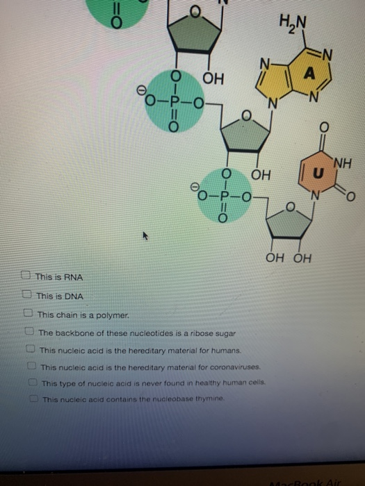 Solved QUESTION 10 Select all of the true statements | Chegg.com