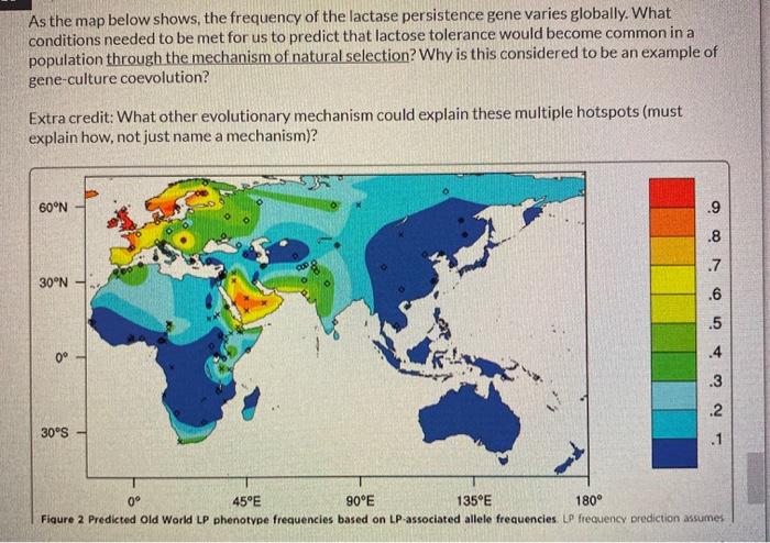Solved As the map below shows, the frequency of the lactase | Chegg.com