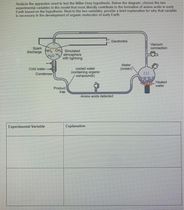 . Activity 2. Modifying the Miller-Urey Model Review | Chegg.com