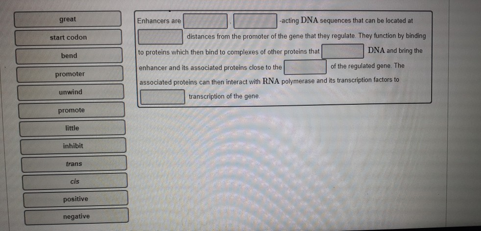 Solved great start codon bend Enhancers are -acting DNA | Chegg.com