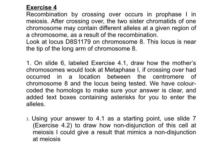 Solved Exercise 4 Recombination by crossing over occurs in | Chegg.com