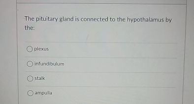 Solved The pituitary gland is connected to the hypothalamus | Chegg.com