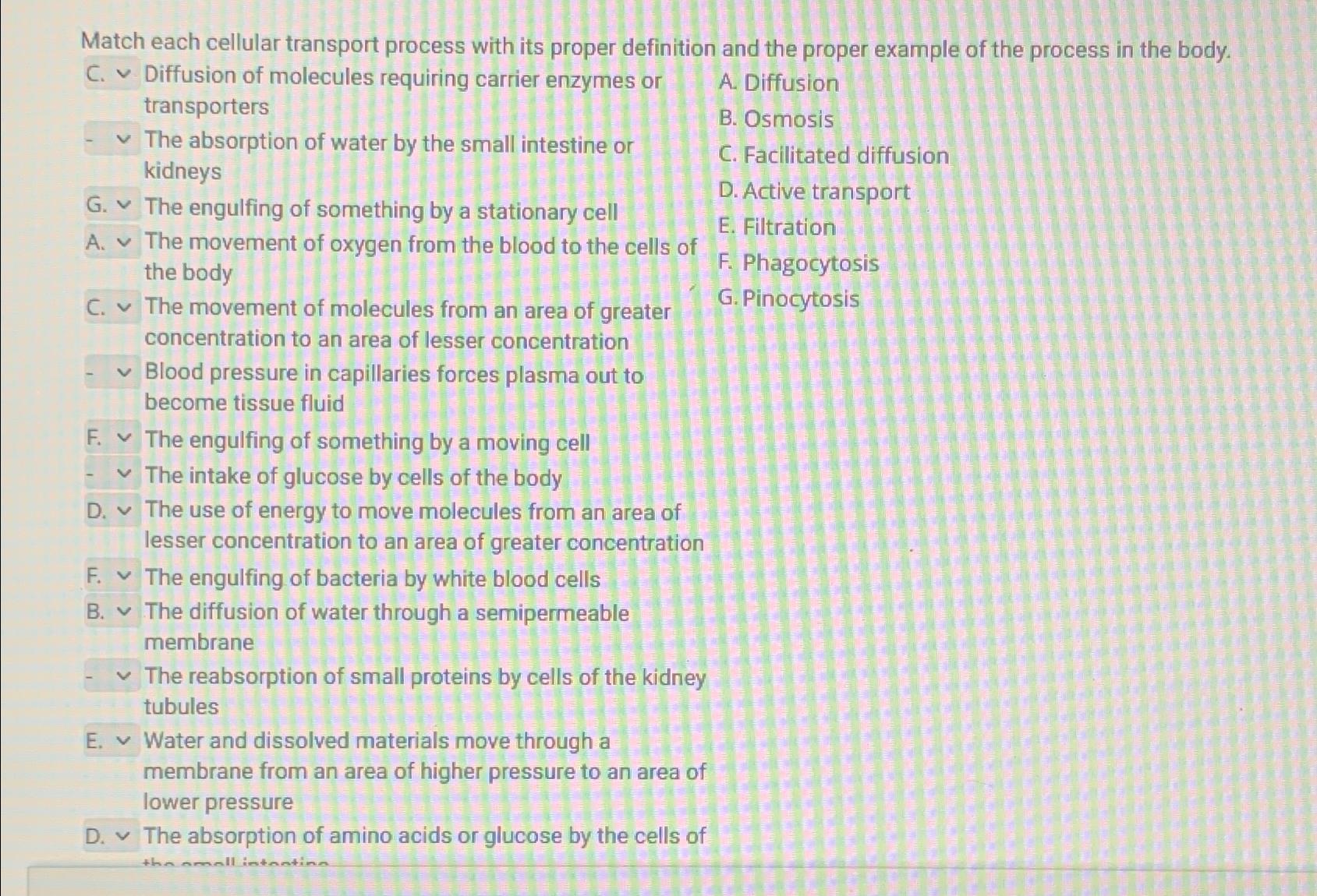 Solved Match each cellular transport process with its proper | Chegg.com
