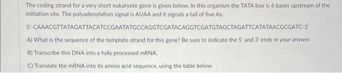 Solved The coding strand for a very short eukaryote gene is | Chegg.com