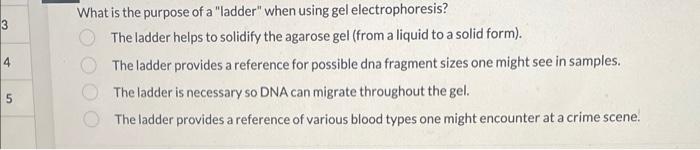 Solved What is the purpose of a "ladder" when using gel | Chegg.com