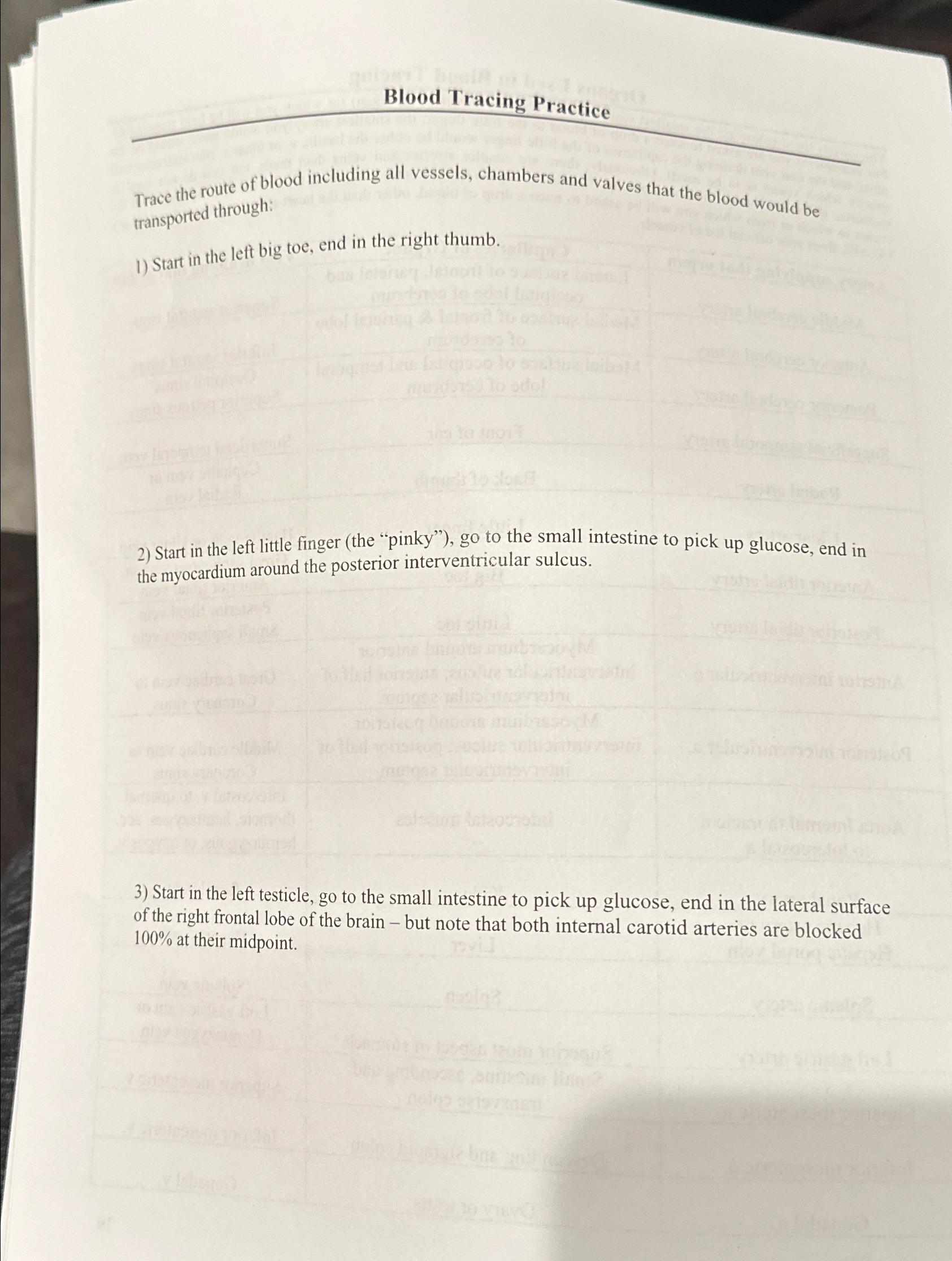 Solved Blood Tracing PracticeTrace the route of blood | Chegg.com