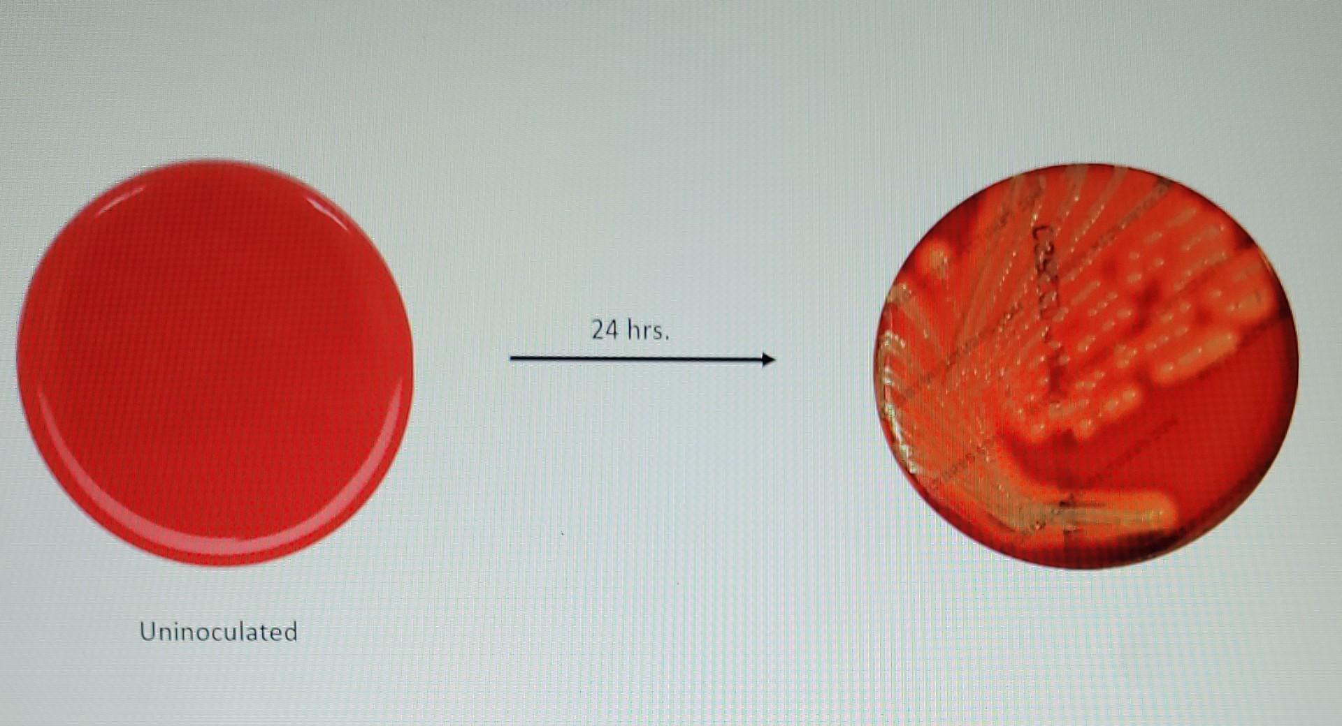 Solved Mixed Unknown Identification Form Unknown 'Patient | Chegg.com
