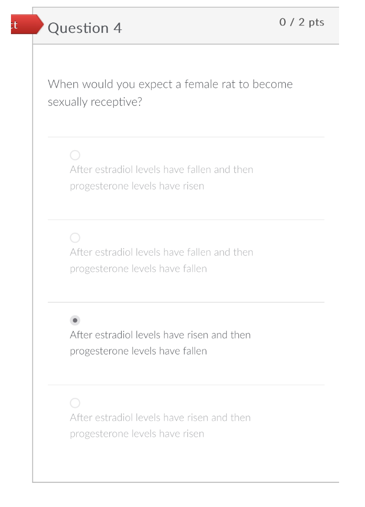 Solved 02 ﻿ptsWhen would you expect a female rat to become | Chegg.com