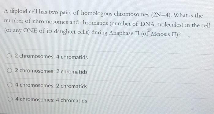 Solved A diploid cell has two pairs of homologous | Chegg.com