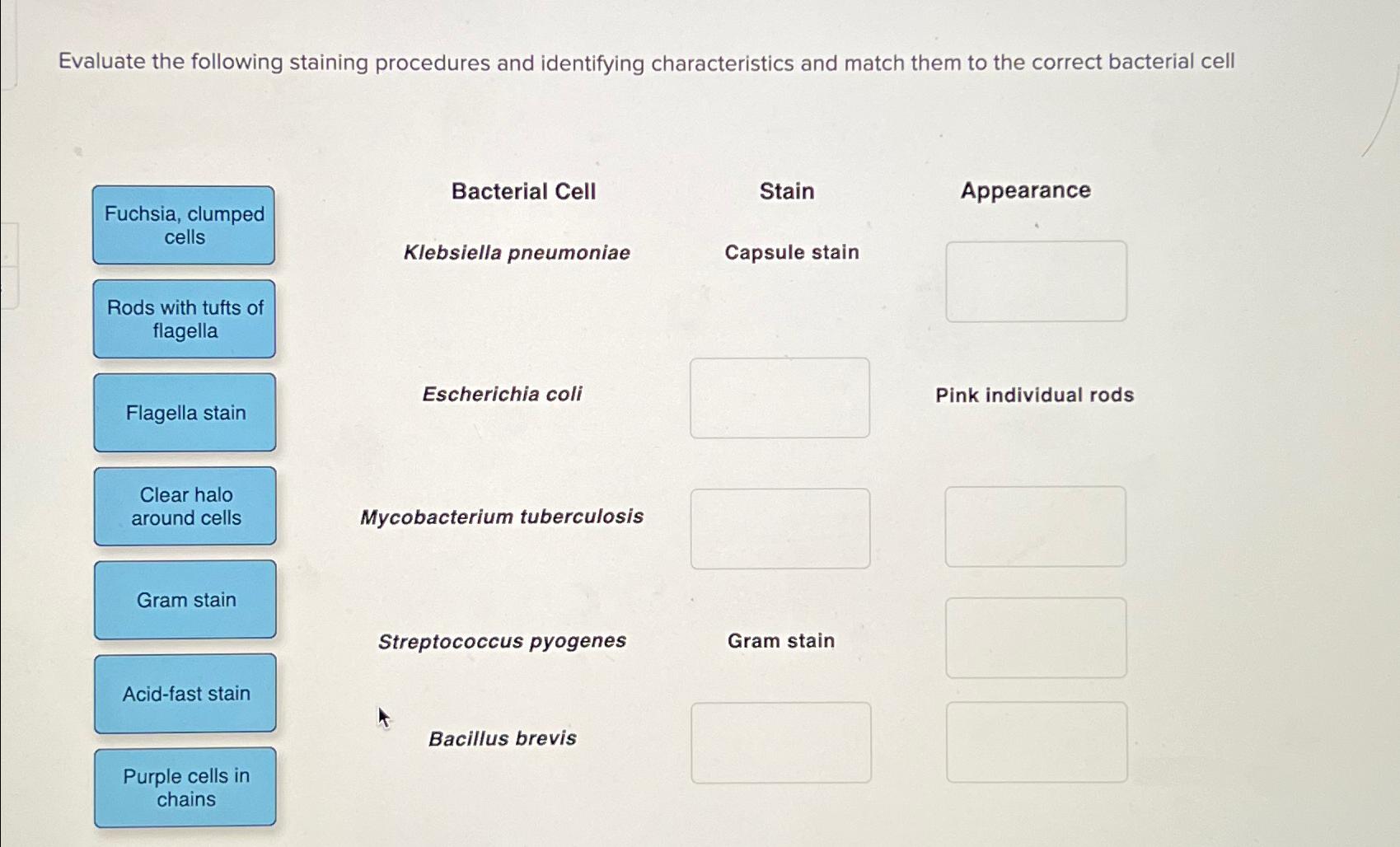 Solved Evaluate the following staining procedures and | Chegg.com