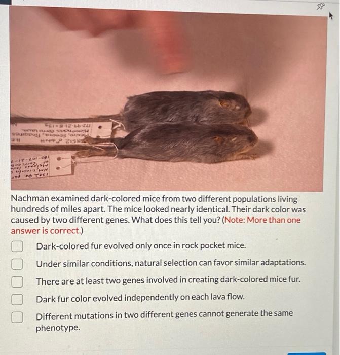 Solved When dark-colored fur gives mice a 1% competitive | Chegg.com