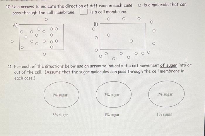 Solved 10 Use Arrows To Indicate The Direction Of Diffusion