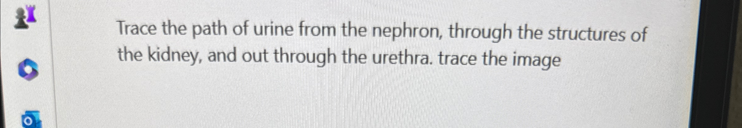 Solved Trace the path of urine from the nephron, through the | Chegg.com