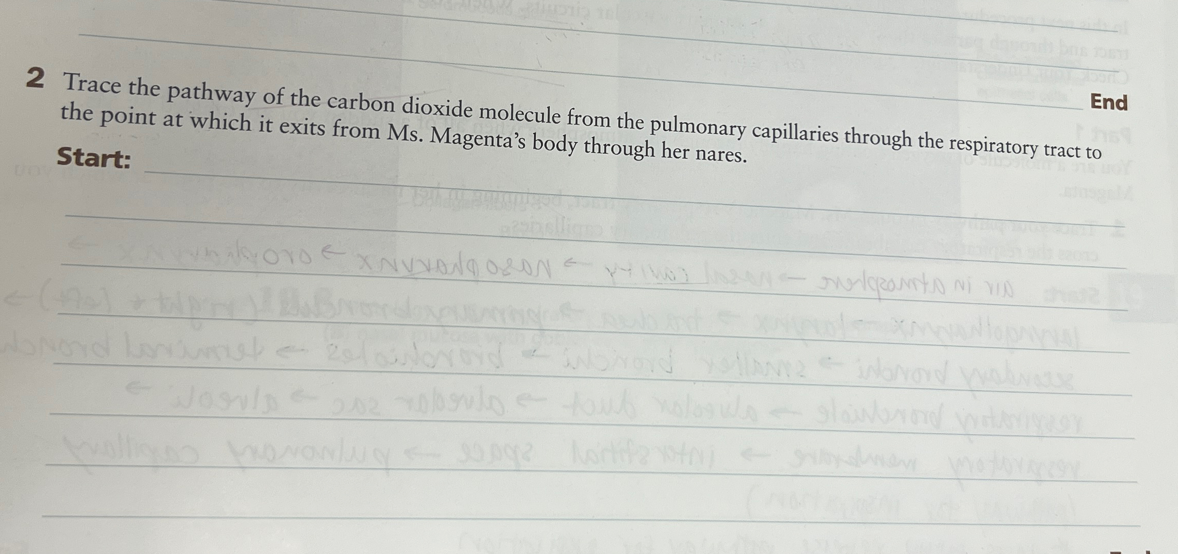 Solved 2 ﻿Trace the pathway of the carbon dioxide molecule | Chegg.com