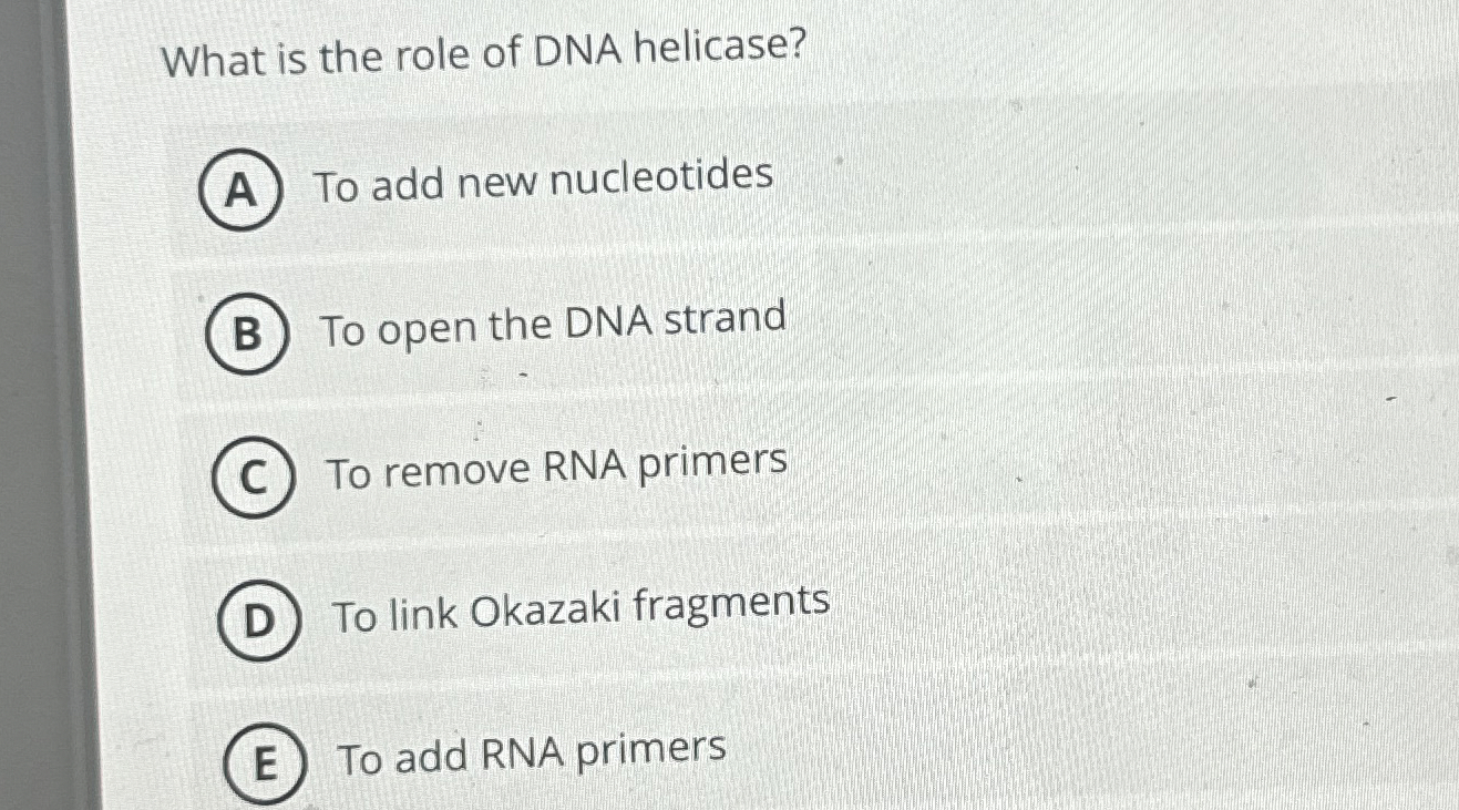 Solved What is the role of DNA helicase?To add new | Chegg.com