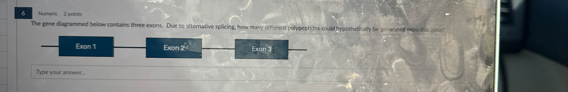 Solved Numeric 2 ﻿pointsThe gene diagrammed below contains | Chegg.com