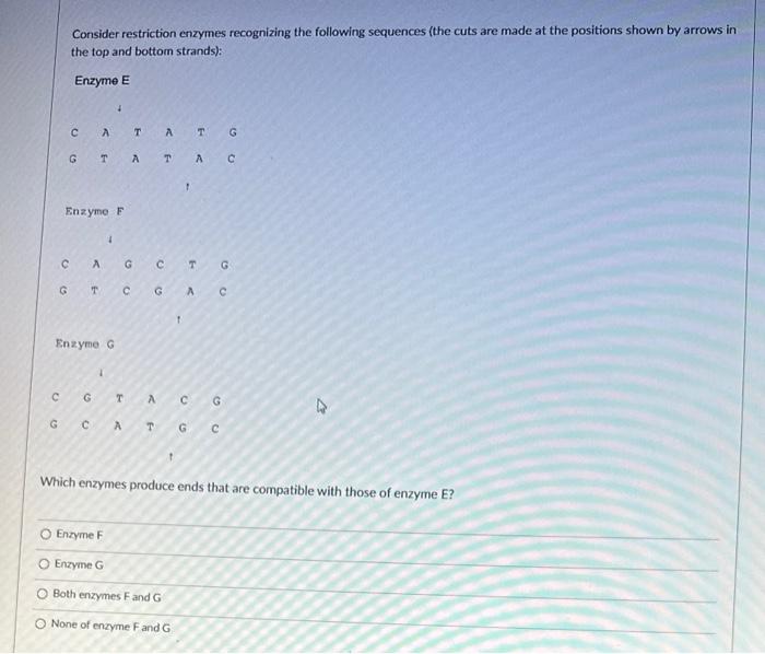 Solved Consider restriction enzymes recognizing the | Chegg.com