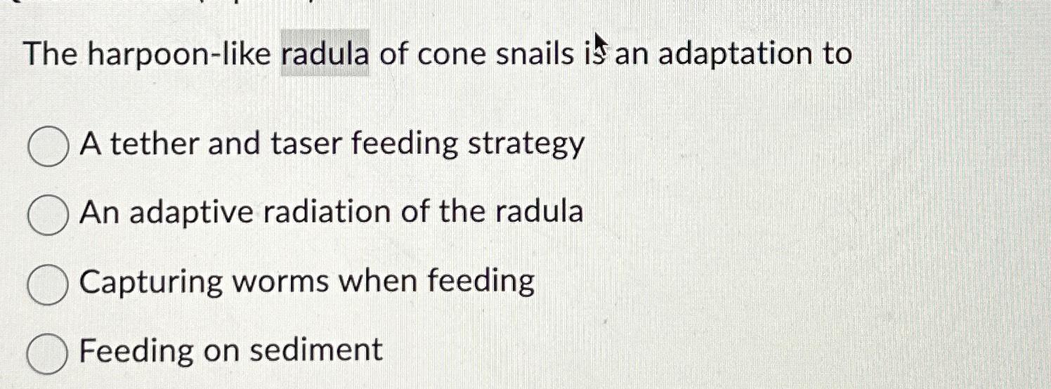 Solved The harpoon-like radula of cone snails is an | Chegg.com