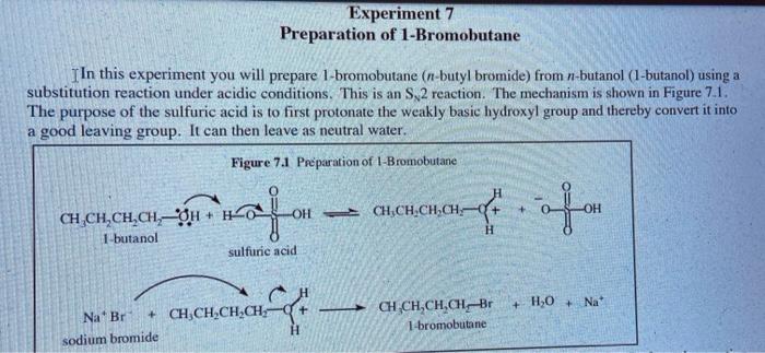 Solved Experiment 7 Preparation of 1-Bromobutane I In this | Chegg.com
