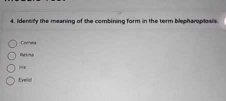 Solved Identify the meaning of the combining form in the | Chegg.com