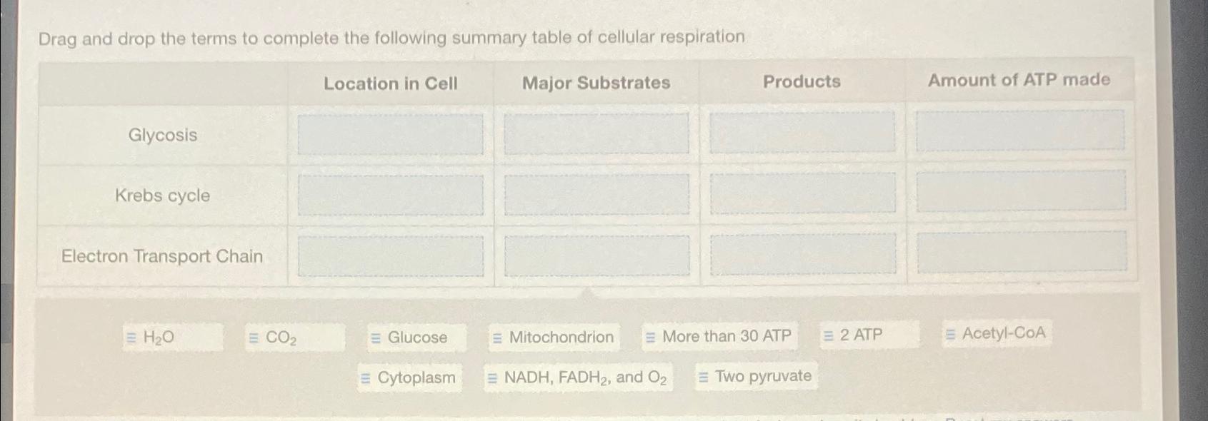 Solved Drag and drop the terms to complete the following | Chegg.com