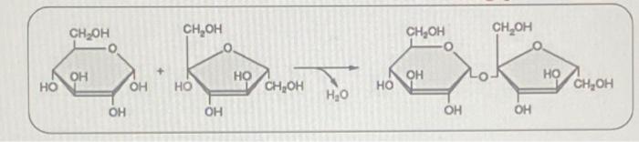 Solved Draw the unstable intermediate molecule for this | Chegg.com