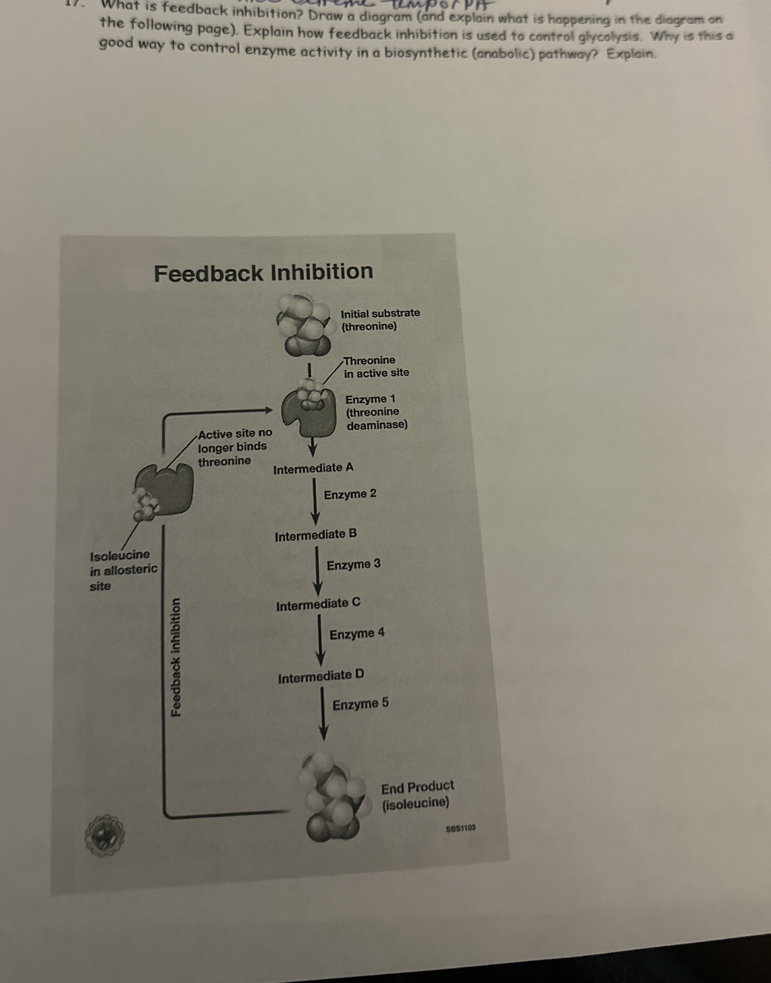 Solved What is feedback inhibition? Draw a diagram (and | Chegg.com