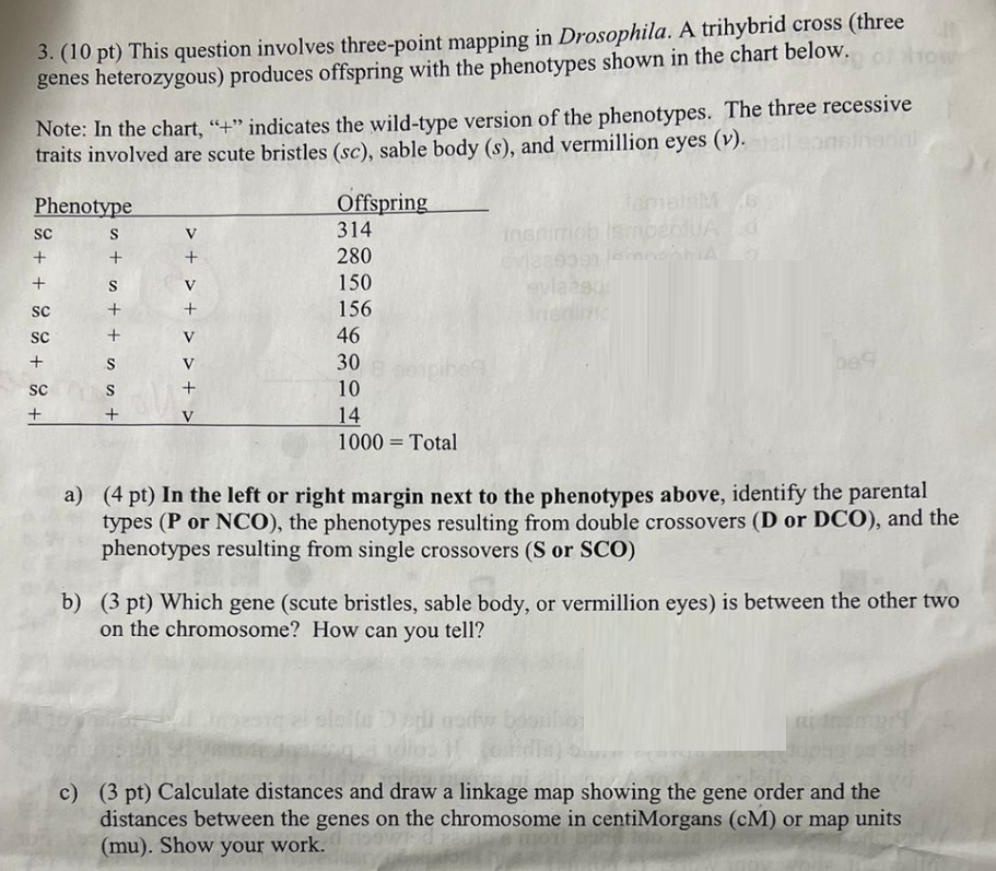 Solved This question involves three-point mapping in | Chegg.com