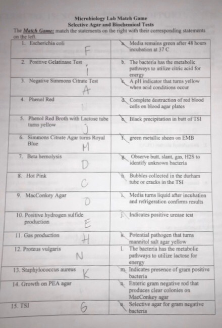 Solved Microbiology Lab Match Game Selective Agar and | Chegg.com
