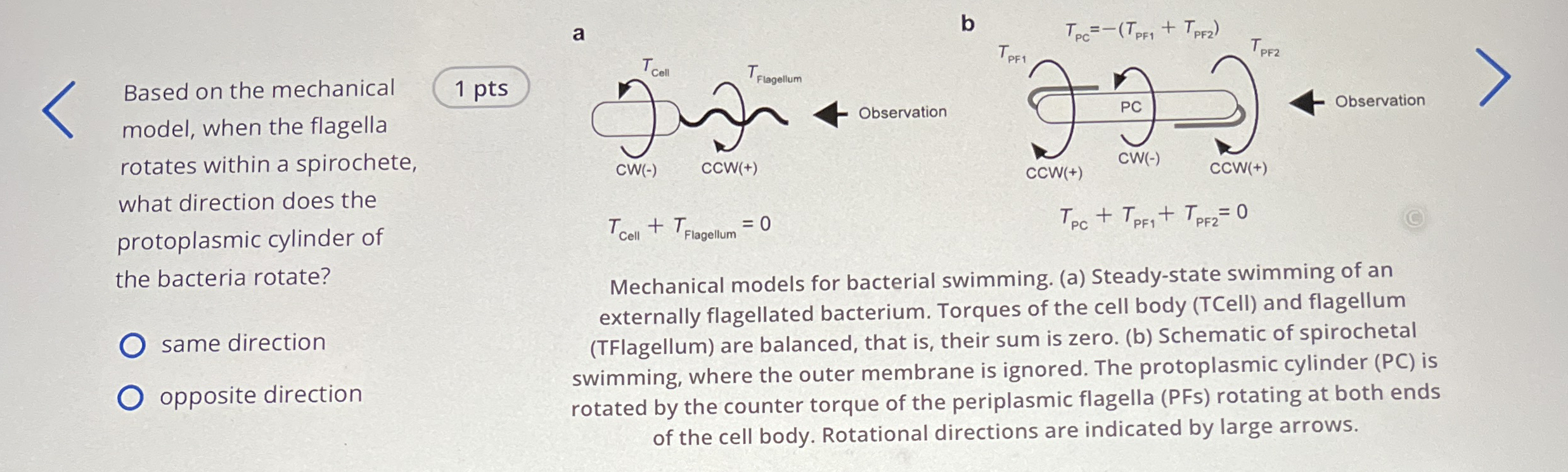 Solved aBased on the mechanical model, when the flagella | Chegg.com