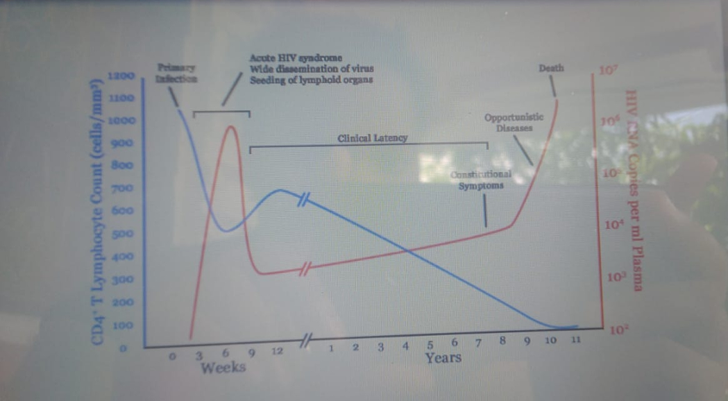 Solved Please Explain and Analyze this graph | Chegg.com