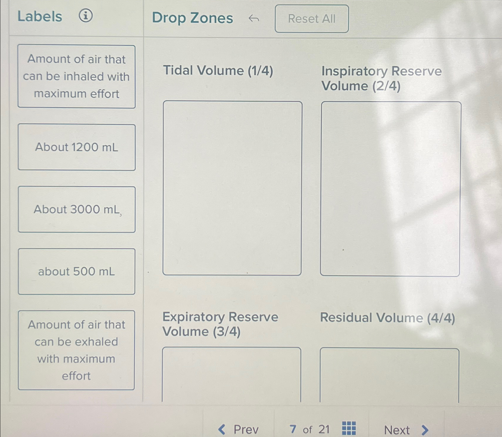 Solved Labels(i)Drop ZonesAmount of air that can be inhaled | Chegg.com