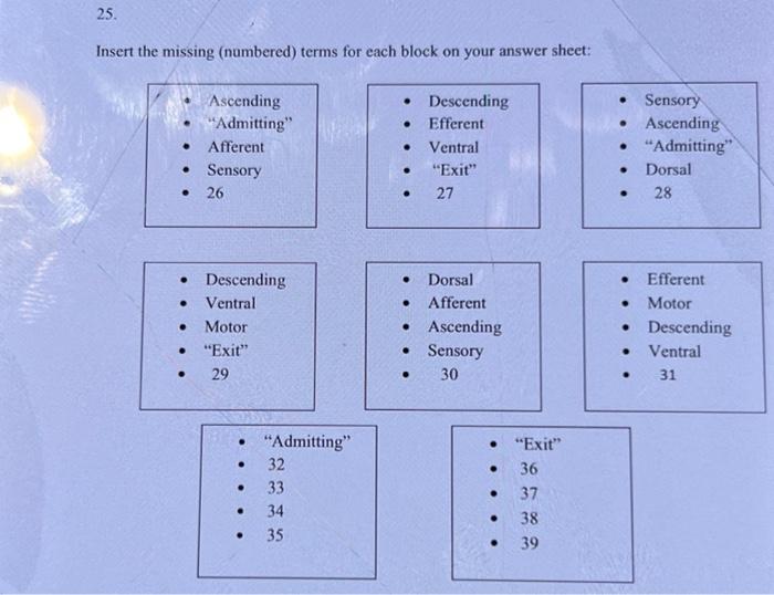 Solved Fill in the missing word for the pathway from the | Chegg.com
