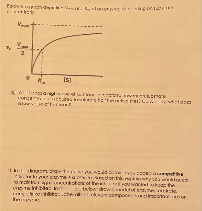 Solved Below is a graph depicting Vmax and Km of an enzyme | Chegg.com