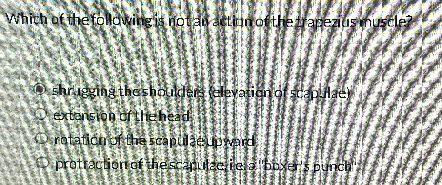 Solved Which of the following is not an action of the | Chegg.com