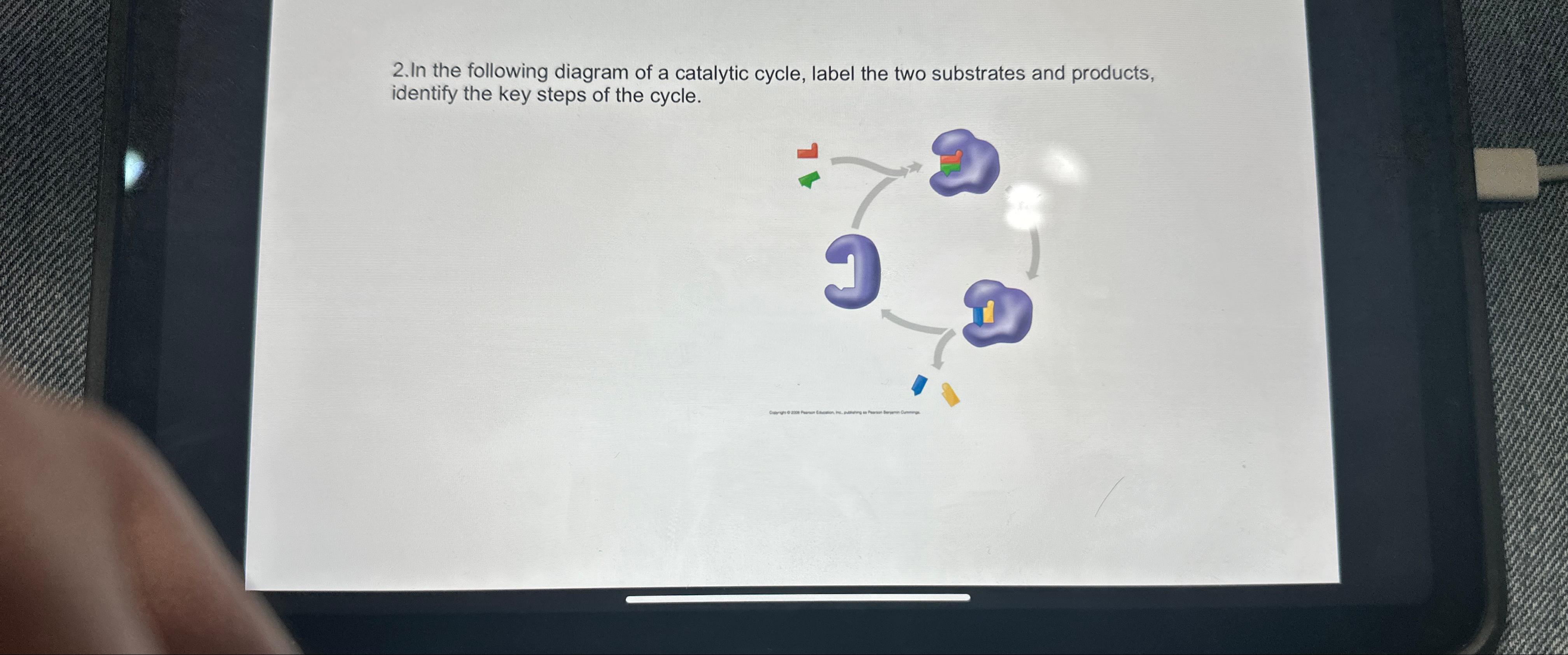 Solved 2.In the following diagram of a catalytic cycle, | Chegg.com