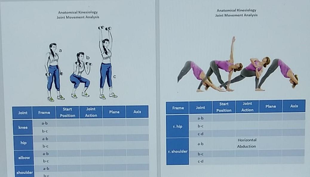 Solved Anatomical Kinesiology Joint Movement Analysis | Chegg.com