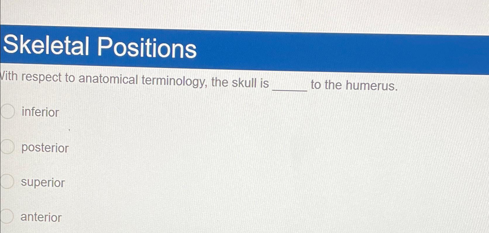 Solved Skeletal PositionsVith respect to anatomical | Chegg.com