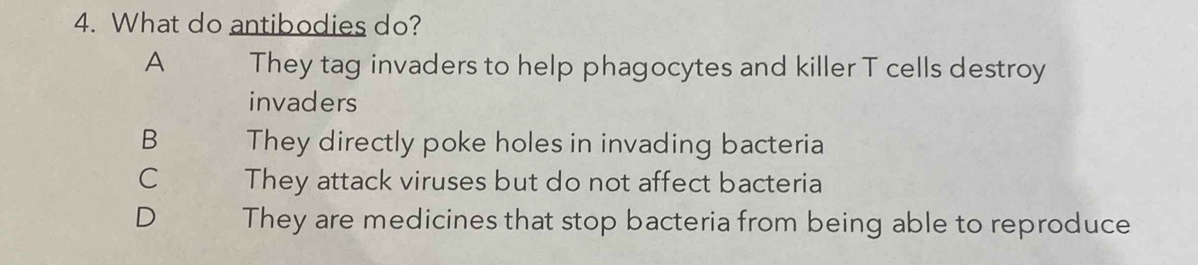 Solved What do antibodies do?A They tag invaders to help | Chegg.com