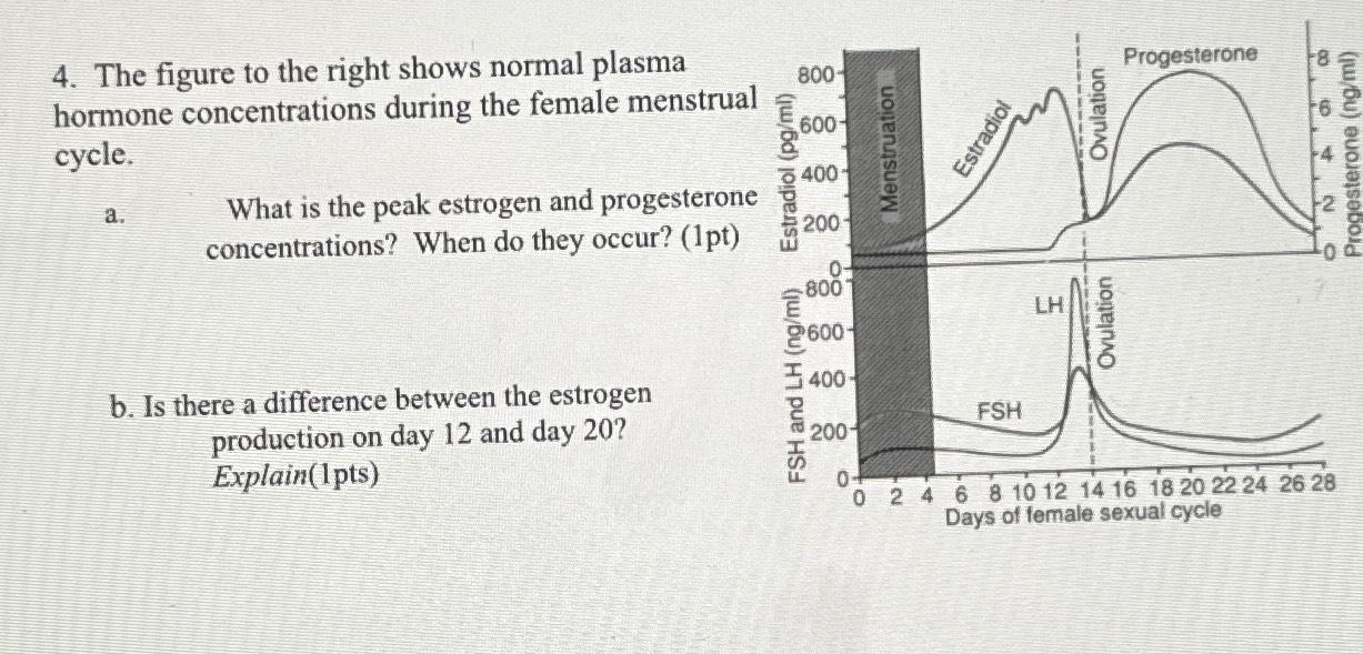 Solved The figure to the right shows normal plasma hormone | Chegg.com