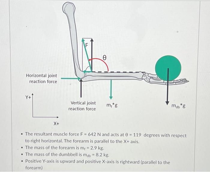 Find the resultant joint reaction force acting on the | Chegg.com
