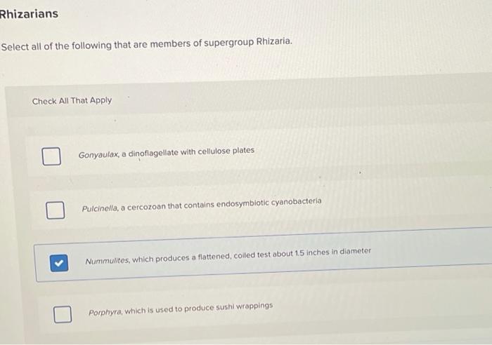 Solved Rhizarians Select all of the following that are | Chegg.com