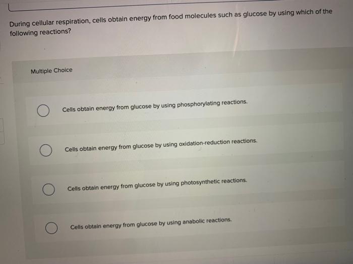 Solved During cellular respiration, cells obtain energy from | Chegg.com