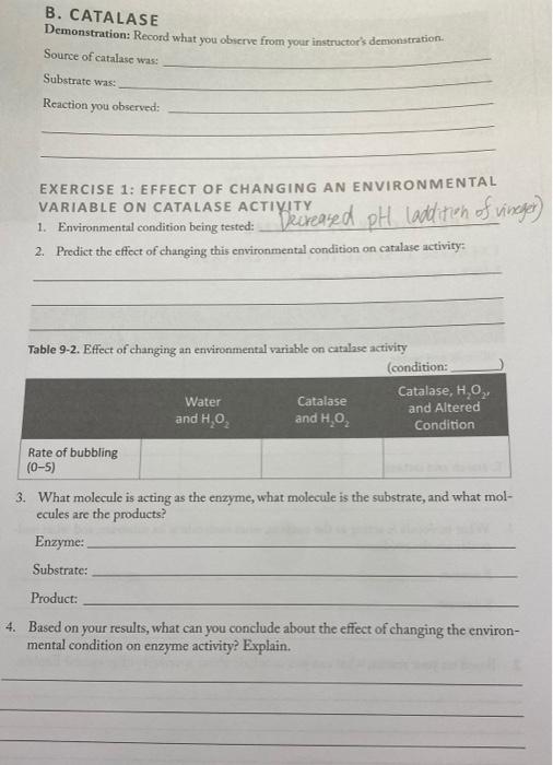 Solved B. CATALASE Demonstration: Record what you observe | Chegg.com