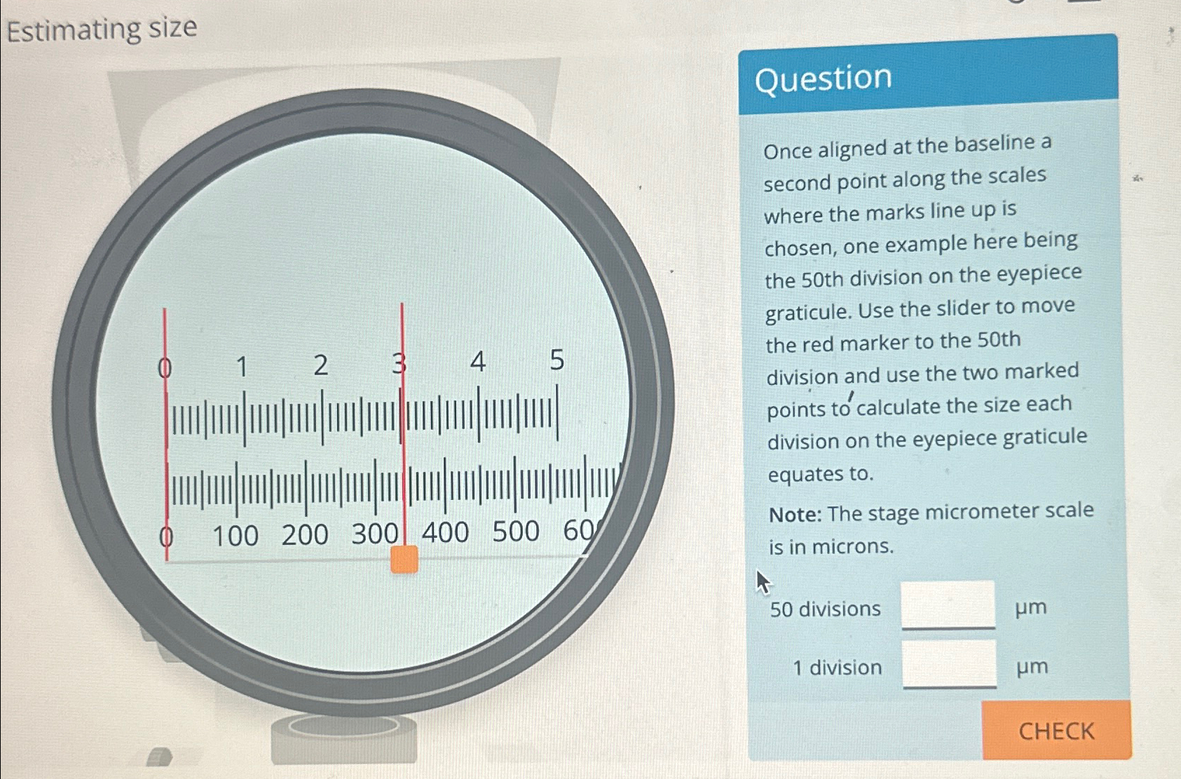 Solved Estimating sizeQuestionOnce aligned at the baseline a | Chegg.com