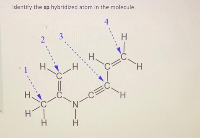Solved Identify the sp hybridized atom in the molecule. | Chegg.com